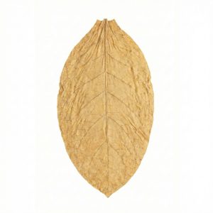 Tabakblätter kaufen - Tabakblätter kaufen – Virginia & Burley Rohtabak ...