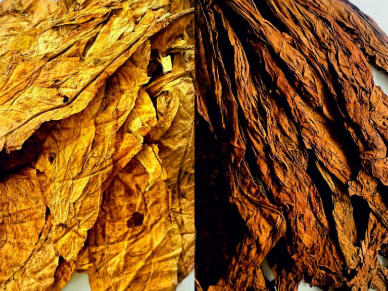 50/50 Virginia Burley Mischung kaufen | Ausgewogen | Tabako